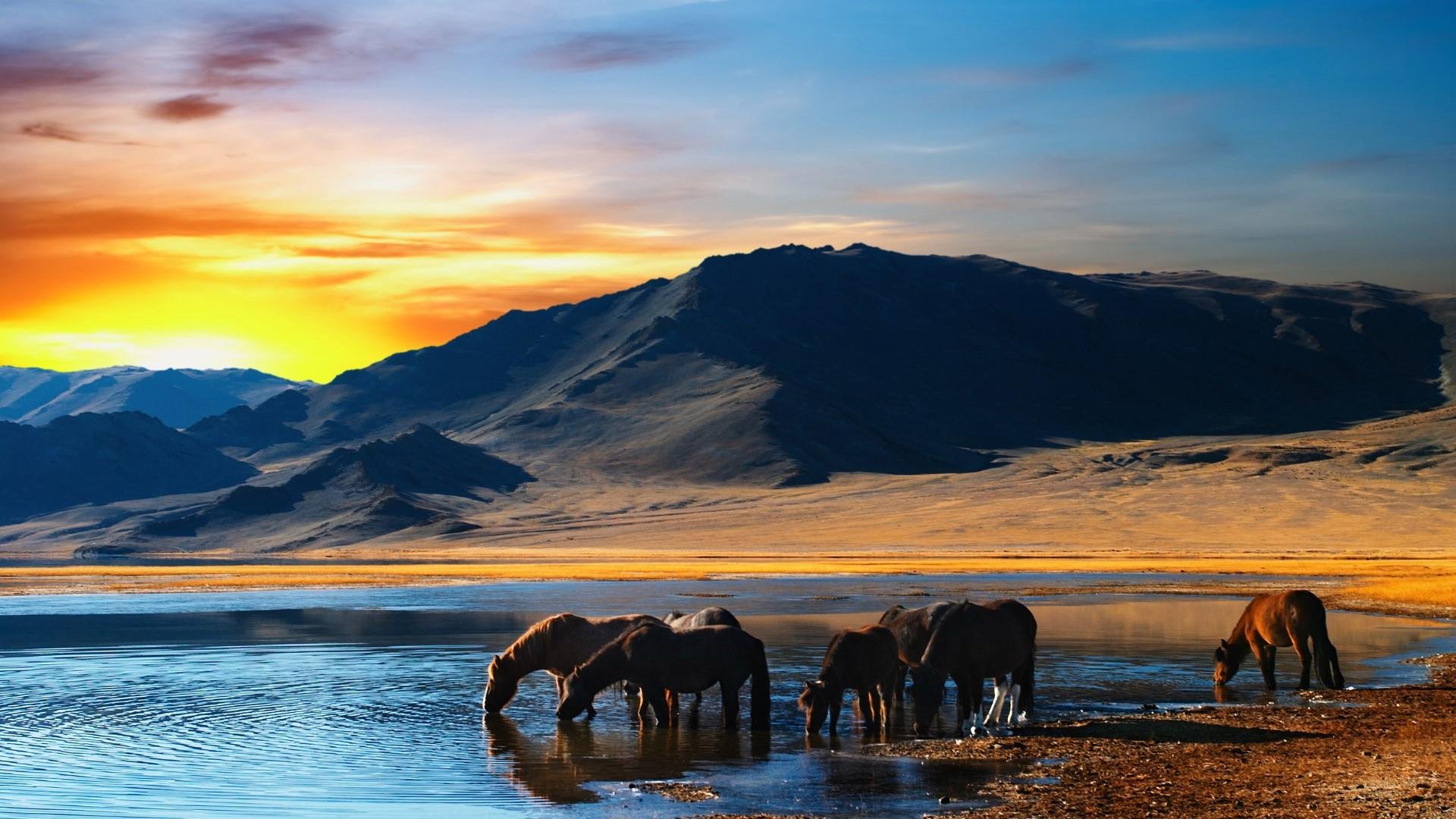 10 Mongolian Learning Apps Like Duolingo Or Babbel 2023 10 Mongolian Learning Apps Like Duolingo Or Babbel 2023